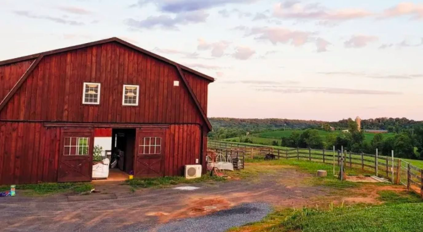 Cô gái kiếm 71 tỷ đồng/năm chia sẻ kinh nghiệm ‘đánh đổi’ để làm giàu ...